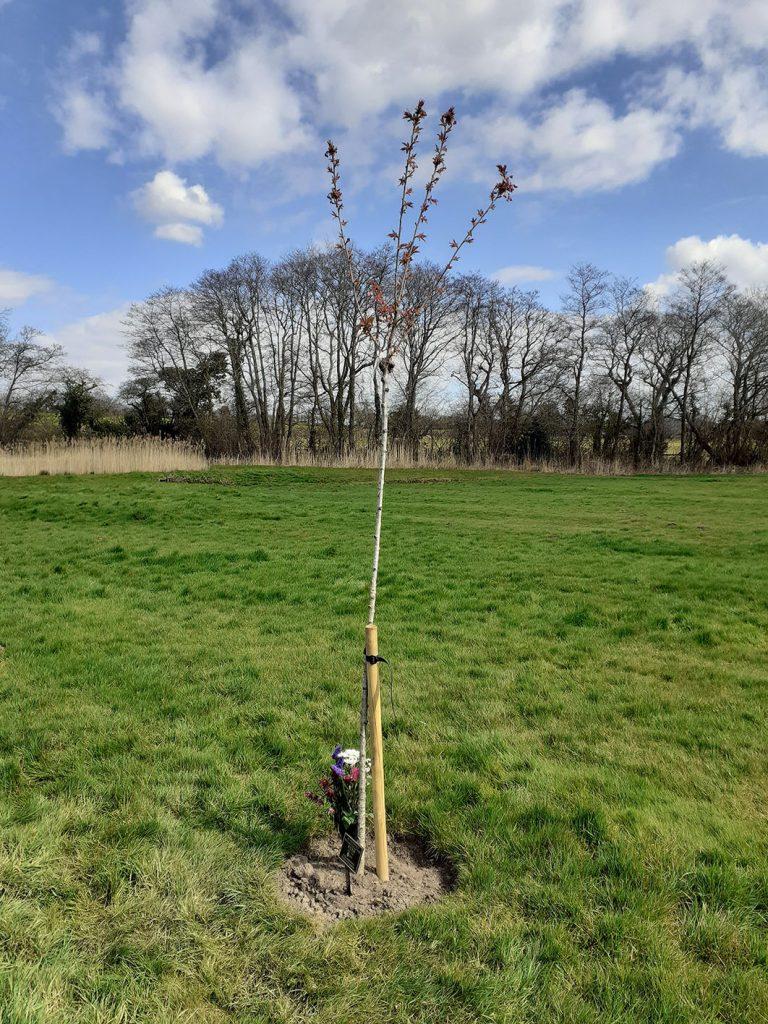 Sensei Mitsusuke Harada, MBE - UK KDS Karate-do Shotokai